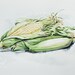 Corn Original Watercolor Paintings Handmade - Etsy