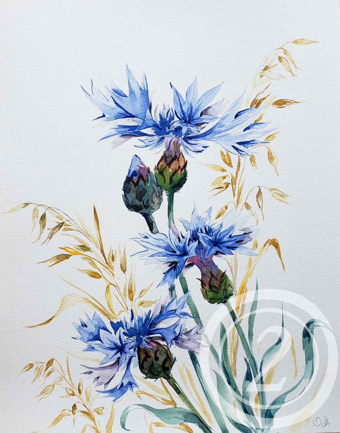 Cornflowers Original Watercolor Paintings Handmade - Etsy