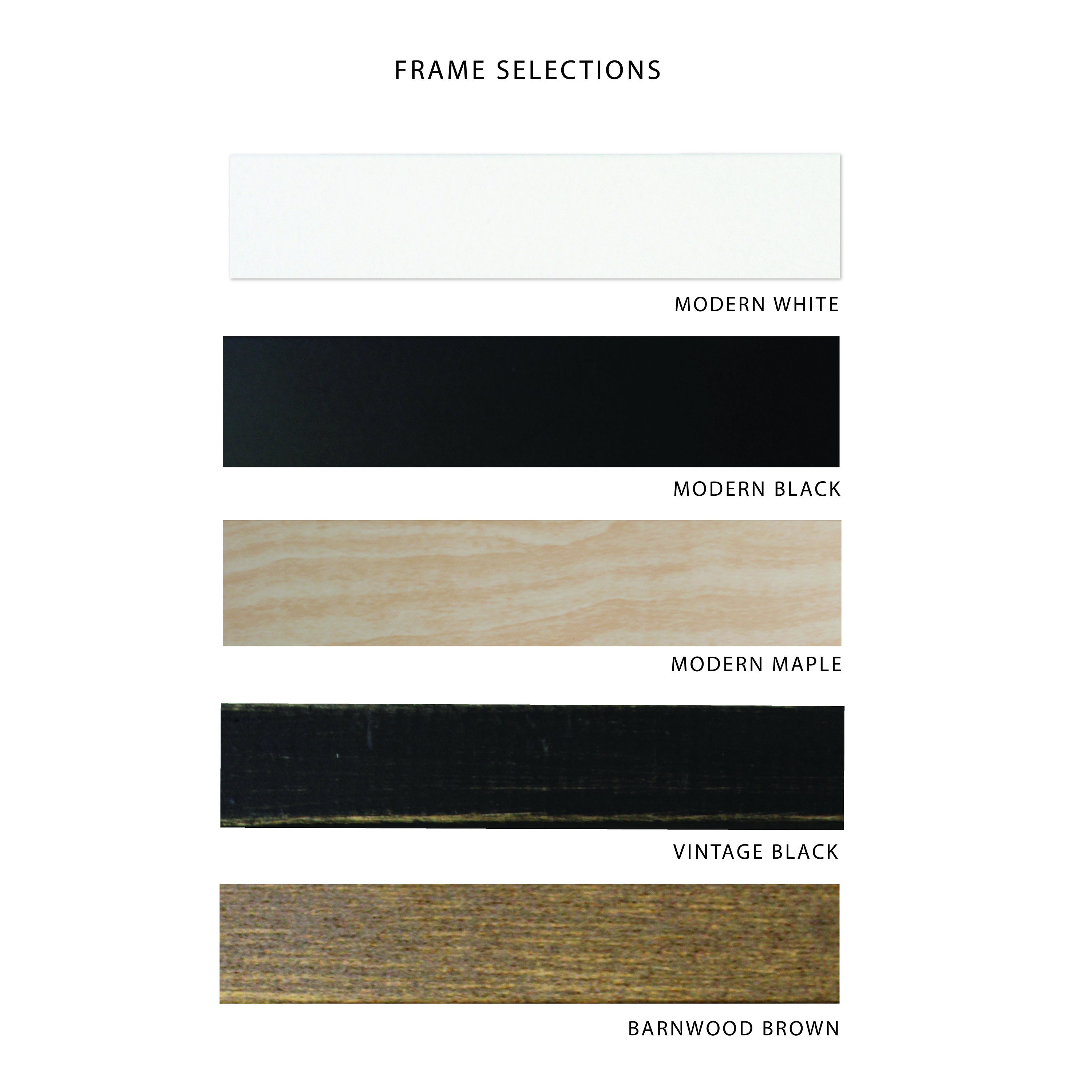 Double Coin Frame DIY Frame Kit for Two Coins Coin Display - Etsy