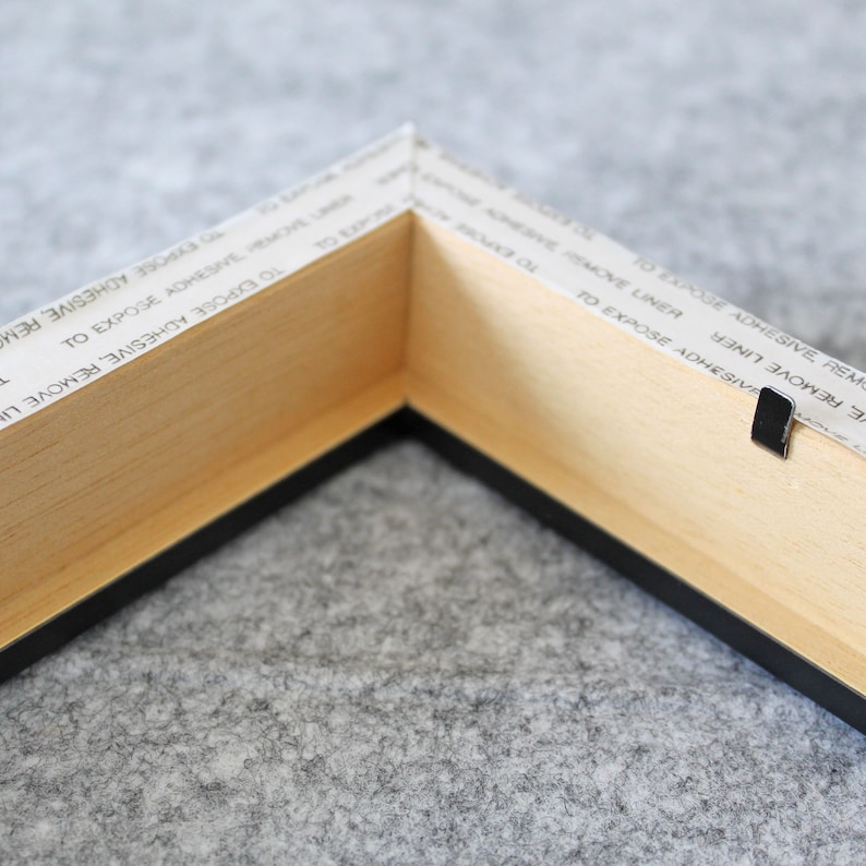 DIY Frame Kit Mat With Rectangle Opening DIY Coin Art Kit - Etsy