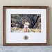 DIY Frame Kit | Mat With Rectangle Opening | DIY Coin Art Kit | Coin ...