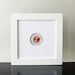 Coin Frame DIY Frame Kit for Coins Coin Display Coin Holder Penny Frame ...