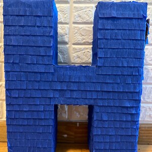 Custom Letter Backdrop Pinata, Custom Names, Letter Decor, Free ...