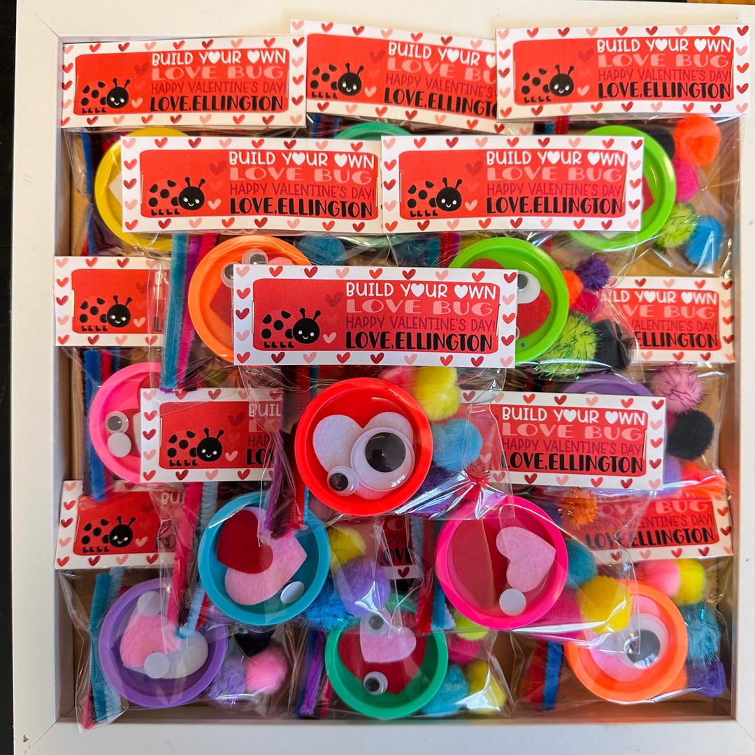 Build Your Own Love Bug Kits,kid Party Favor, Valentines Classroom Gift ...