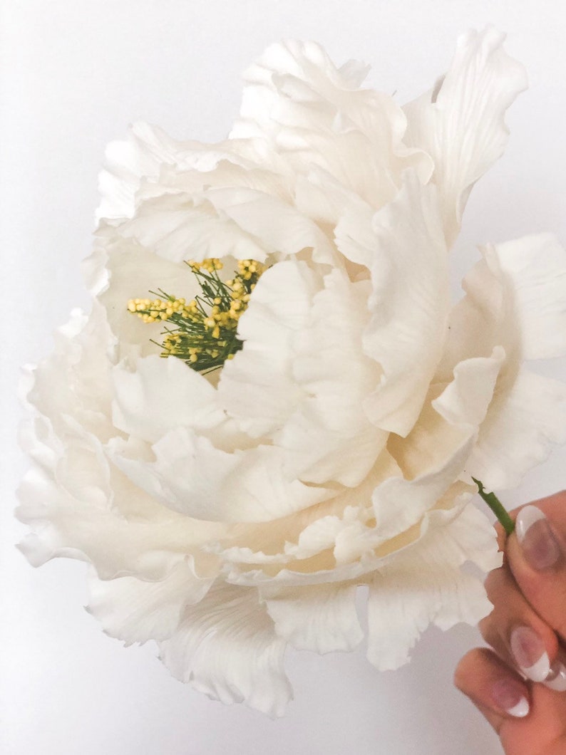 Edible Sugar Cake Topper Closed White Peony Large Size Cake Topper ...