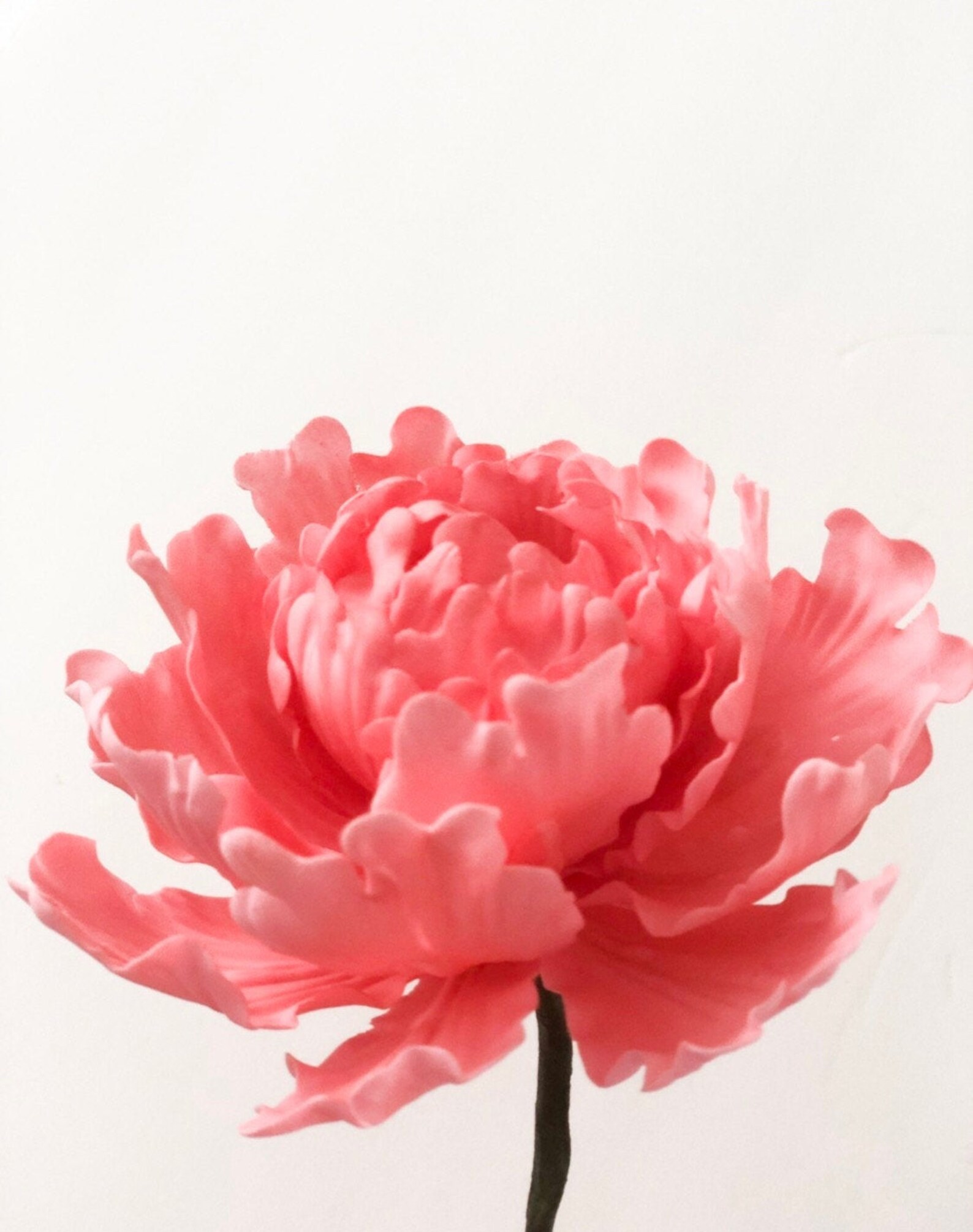 Edible Peony Cake Topper Made Out of Sugar. Sugar Flower for Cakes - Etsy