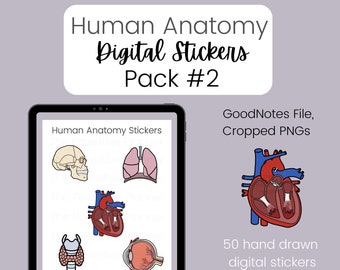 Biology Digital Stickers for Planning Note Taking Studying - Etsy