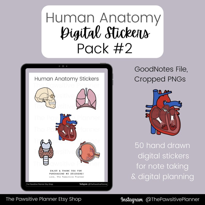 Anatomy Digital Stickers: Study Planner, Nurse, Medic (goodnotes, PNG ...