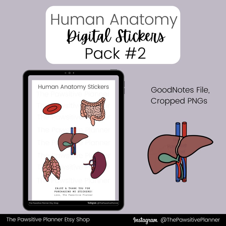 Anatomy Digital Stickers: Study Planner, Nurse, Medic (goodnotes, PNG ...