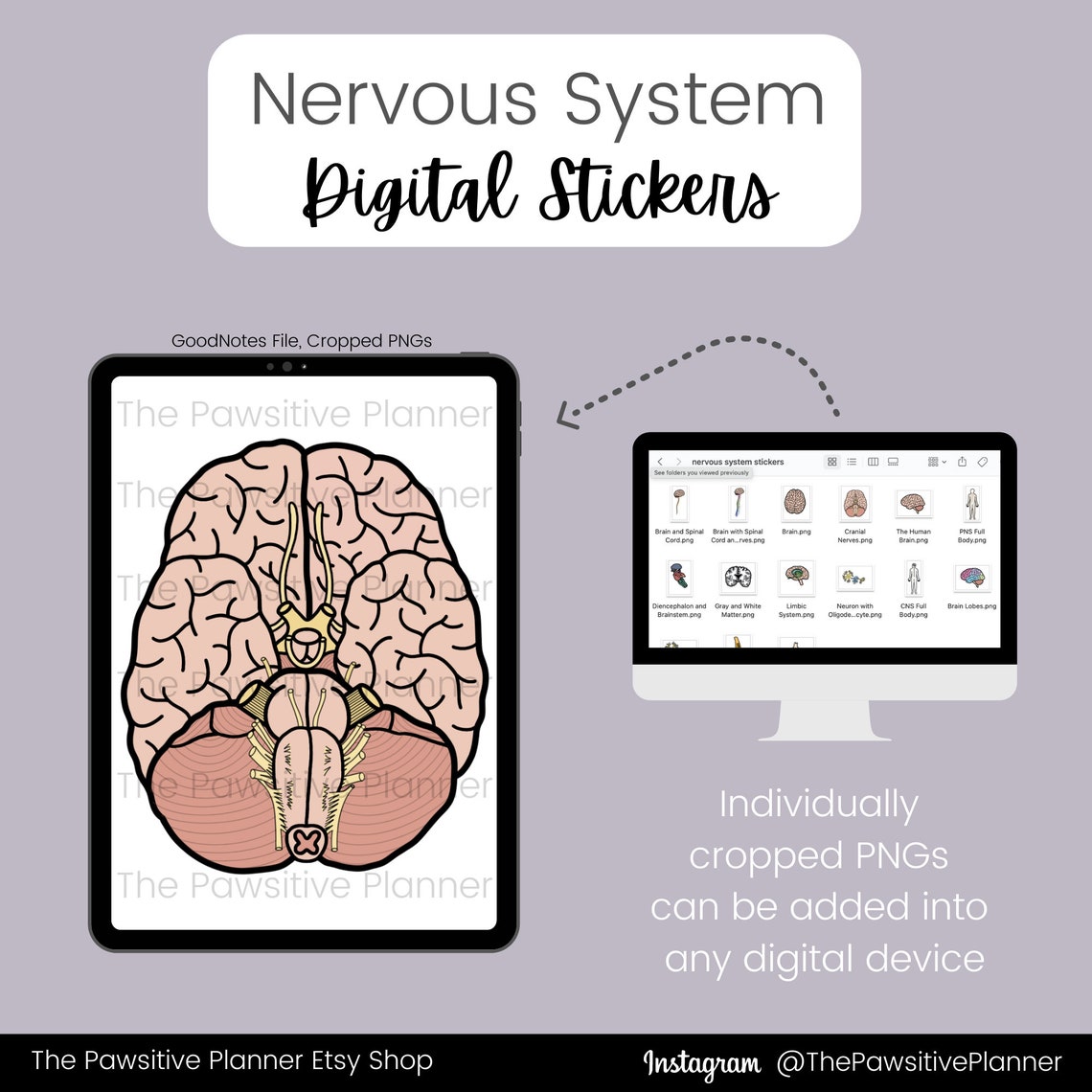 Nervous System Digital Stickers Goodnotes Stickers Digital | Etsy