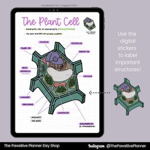 Biology Digital Stickers for Planning, Note Taking, Studying ...