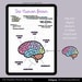 Nervous System Digital Stickers Goodnotes Stickers, Digital Journal ...