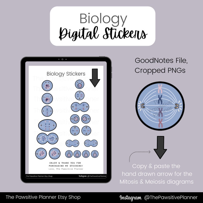 Biology Digital Stickers for Planning Note Taking Studying - Etsy