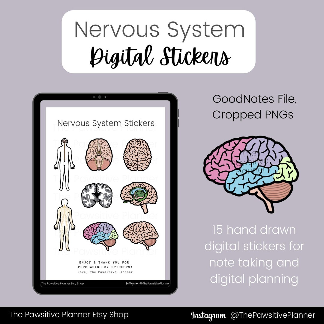 Nervous System Digital Stickers | Goodnotes Stickers, Digital Journal ...