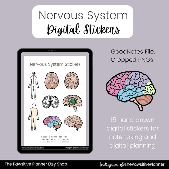 Nervous System Digital Stickers Goodnotes Stickers Digital | Etsy