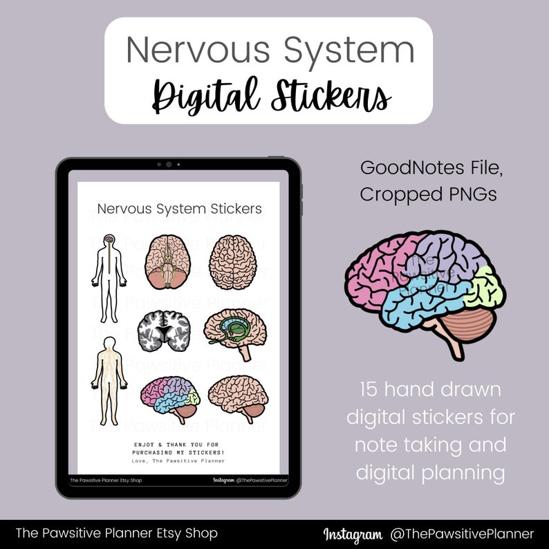 Nervous System Digital Stickers | Goodnotes Stickers, Digital Journal ...