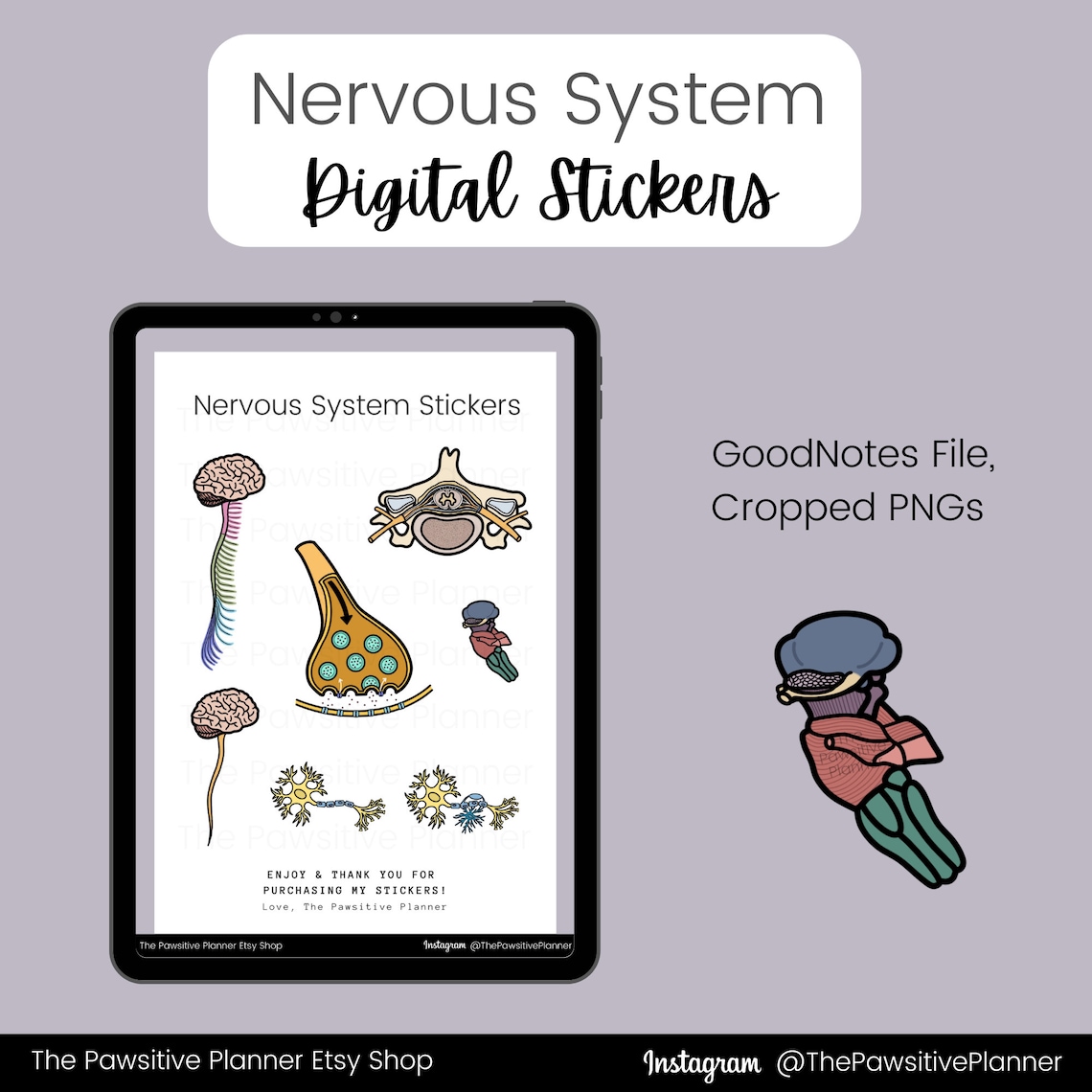 Nervous System Digital Stickers Goodnotes Stickers Digital | Etsy