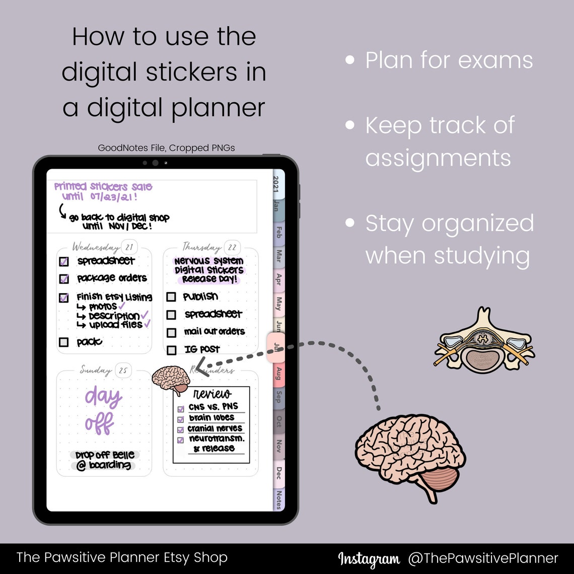 Nervous System Digital Stickers Goodnotes Stickers Digital | Etsy
