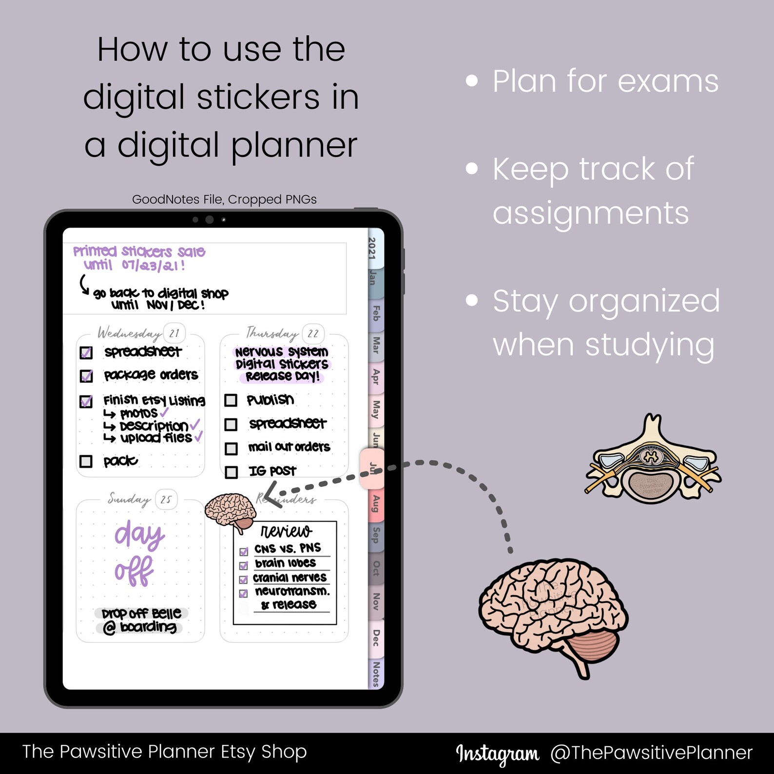 Nervous System Digital Stickers Goodnotes Stickers Digital | Etsy