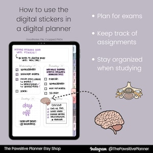 Nervous System Digital Stickers | Goodnotes Stickers, Digital Journal ...