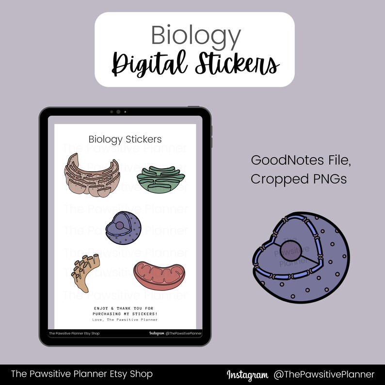 Biology Digital Stickers for Planning Note Taking Studying - Etsy