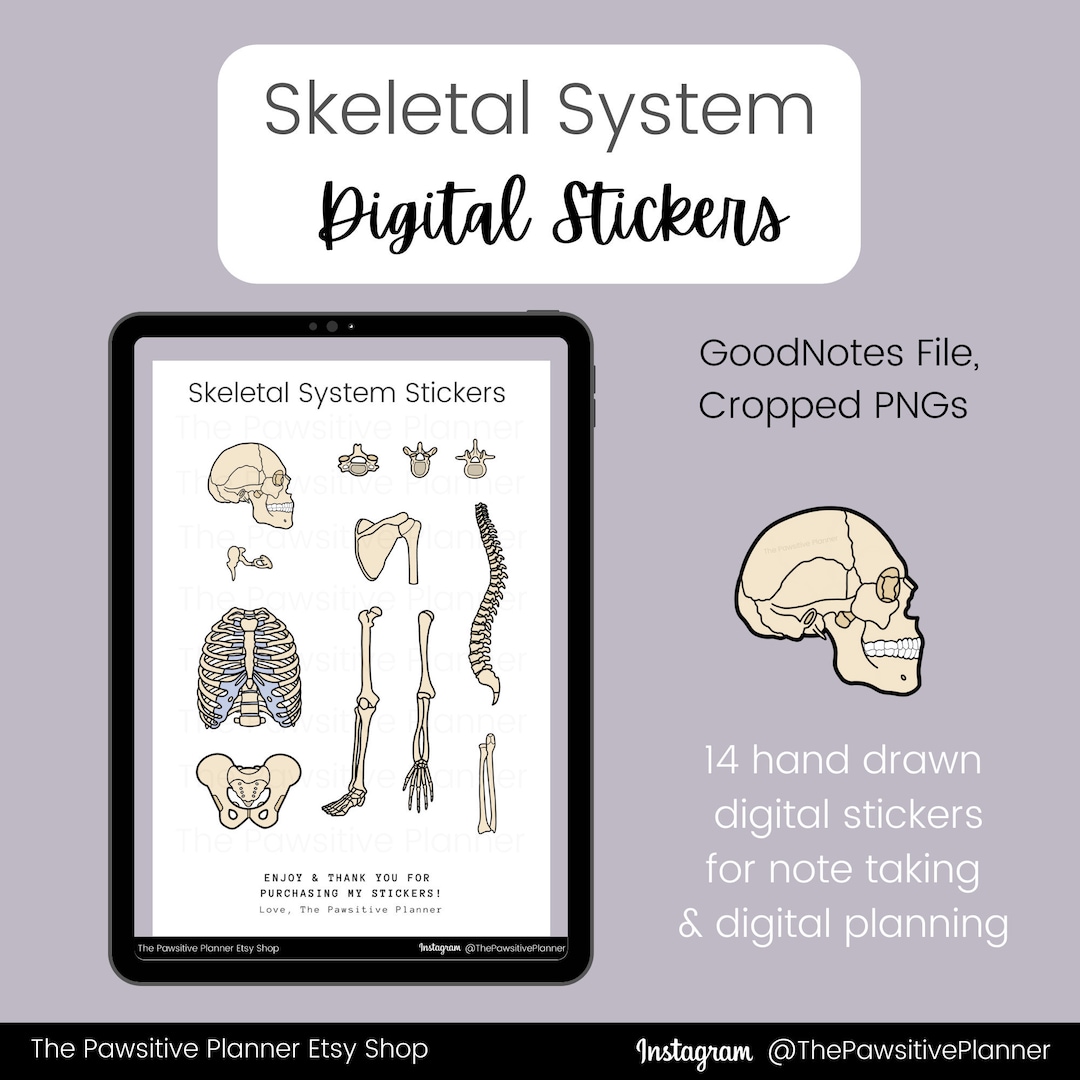 Skeletal Anatomy Bones Skull Digital Stickers Anatomy Anatomie Digital ...