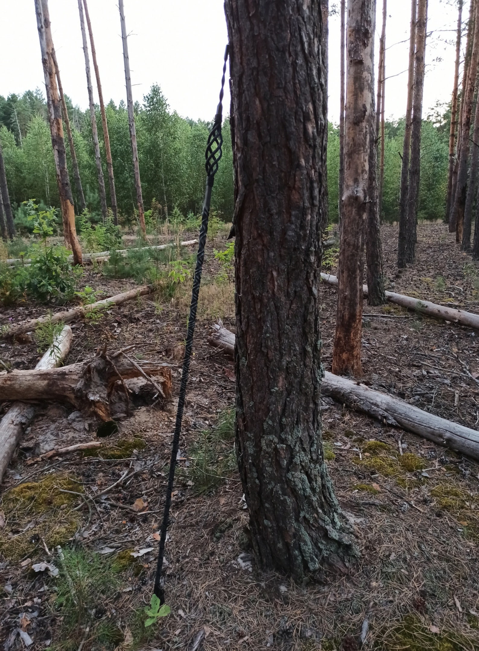 Long Shaman Staff Völva Staff Handmade Staff of the Vǫlur - Etsy Canada