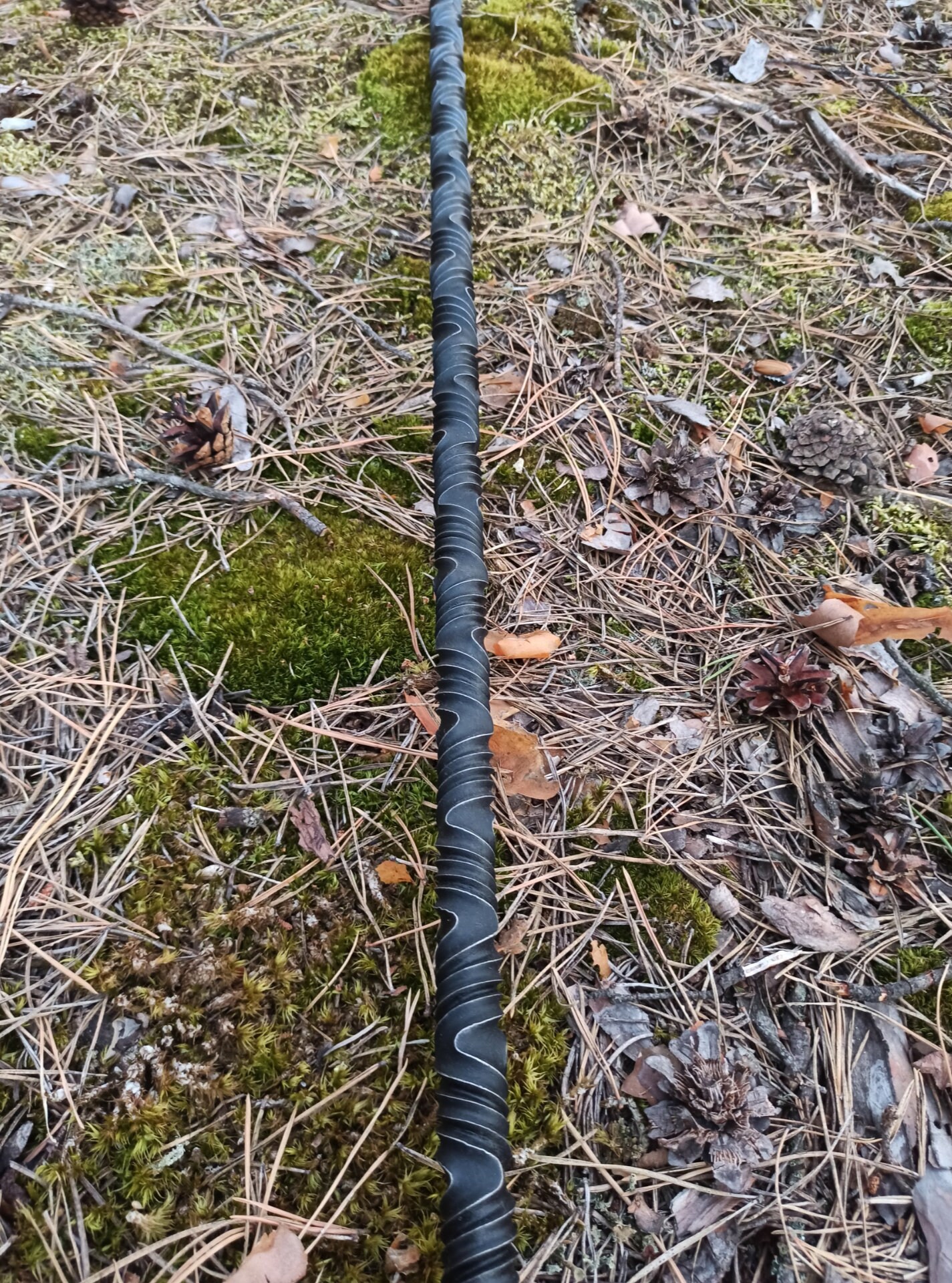 Long Shaman Staff Völva Staff Handmade Staff of the Vǫlur | Etsy