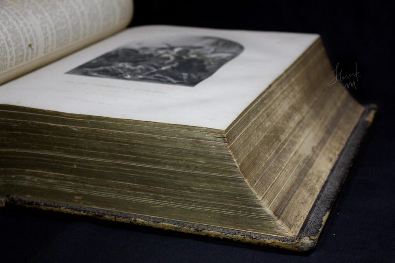 Antique Pre-1865 Highly Illustrated Douay Rheims Catholic Holybible ...