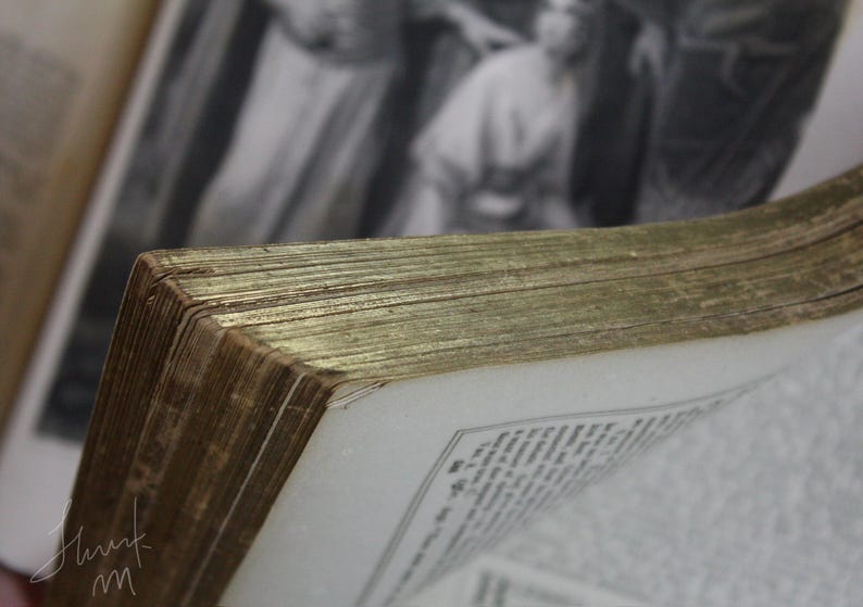 Antique Pre-1865 Highly Illustrated Douay Rheims Catholic Holybible ...