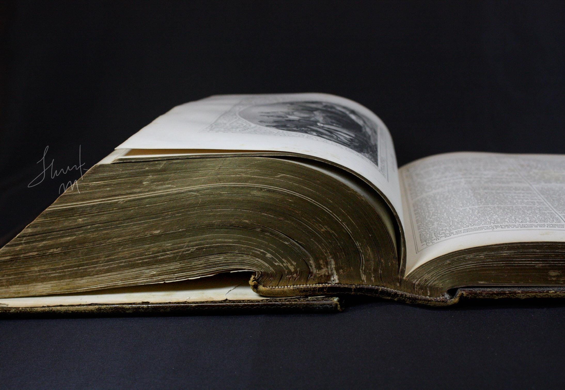 Antique Pre-1865 Highly Illustrated Douay Rheims Catholic Holybible ...