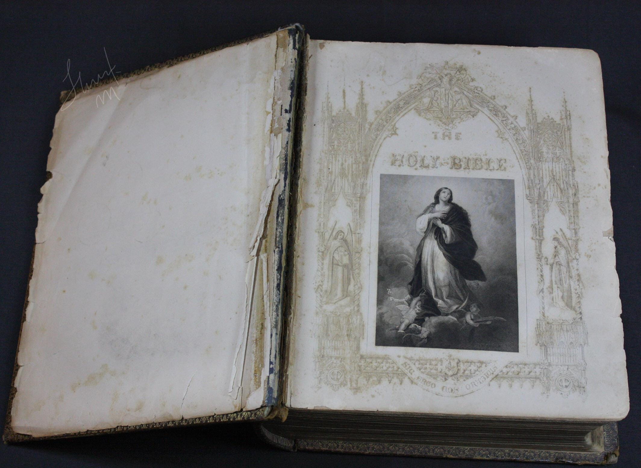 Antique Pre-1865 Highly Illustrated Douay Rheims Catholic Holybible ...
