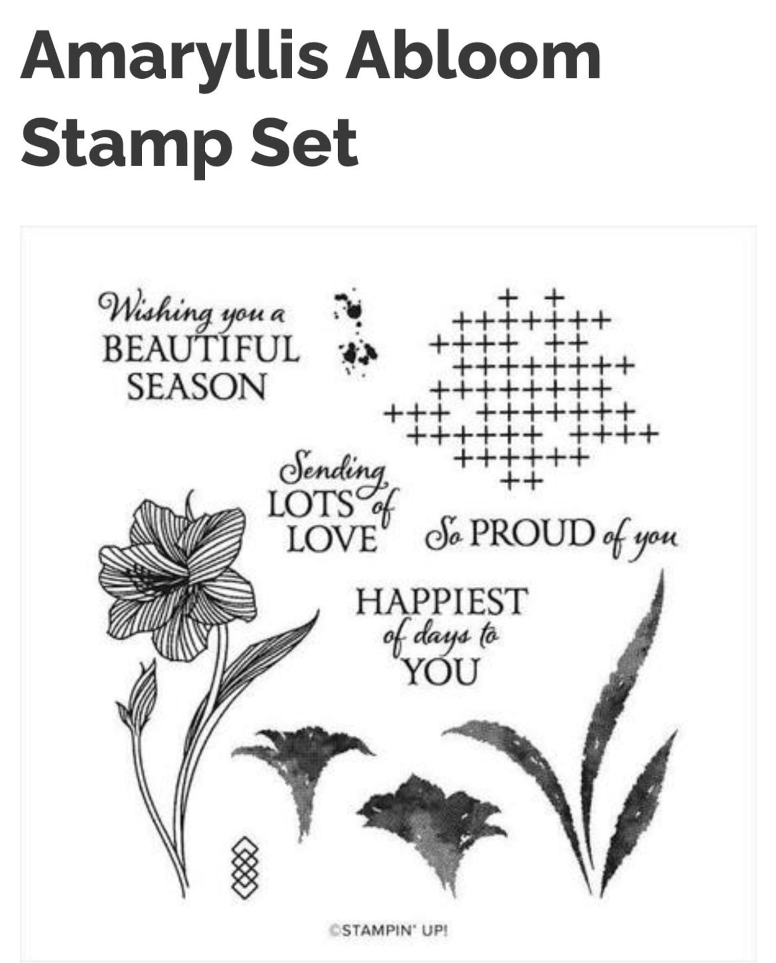 Stampin up Brand New Retired Stamp Sets - Etsy