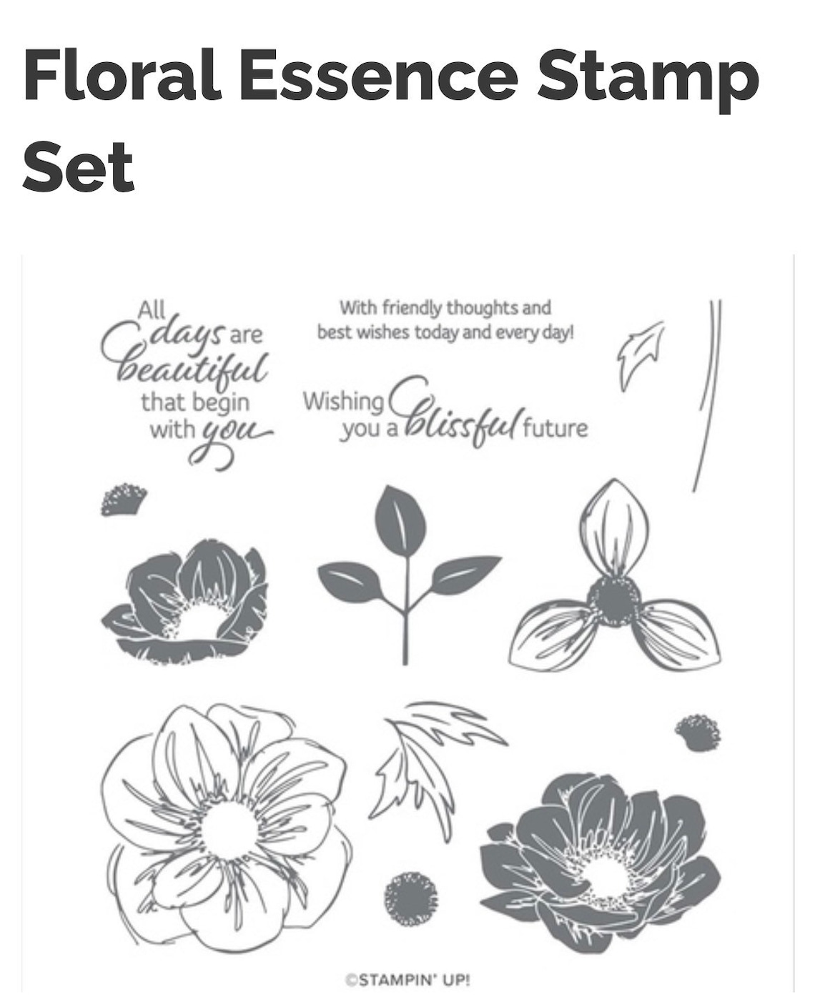 Stampin up Brand New Retired Stamp Sets - Etsy
