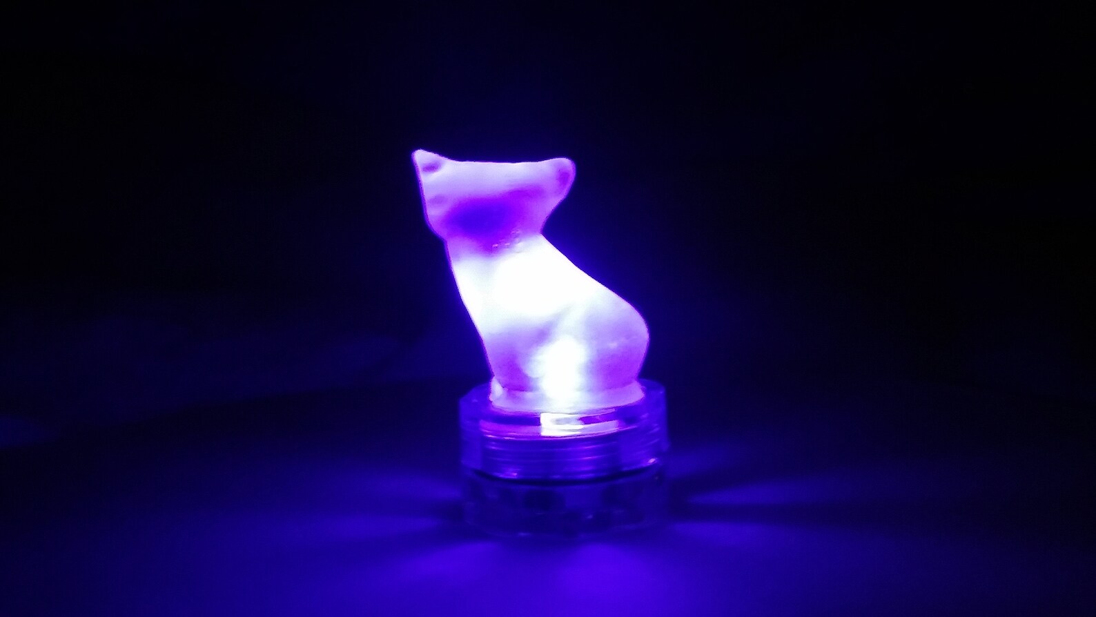 Light-up Cat Purple Night Light | Etsy