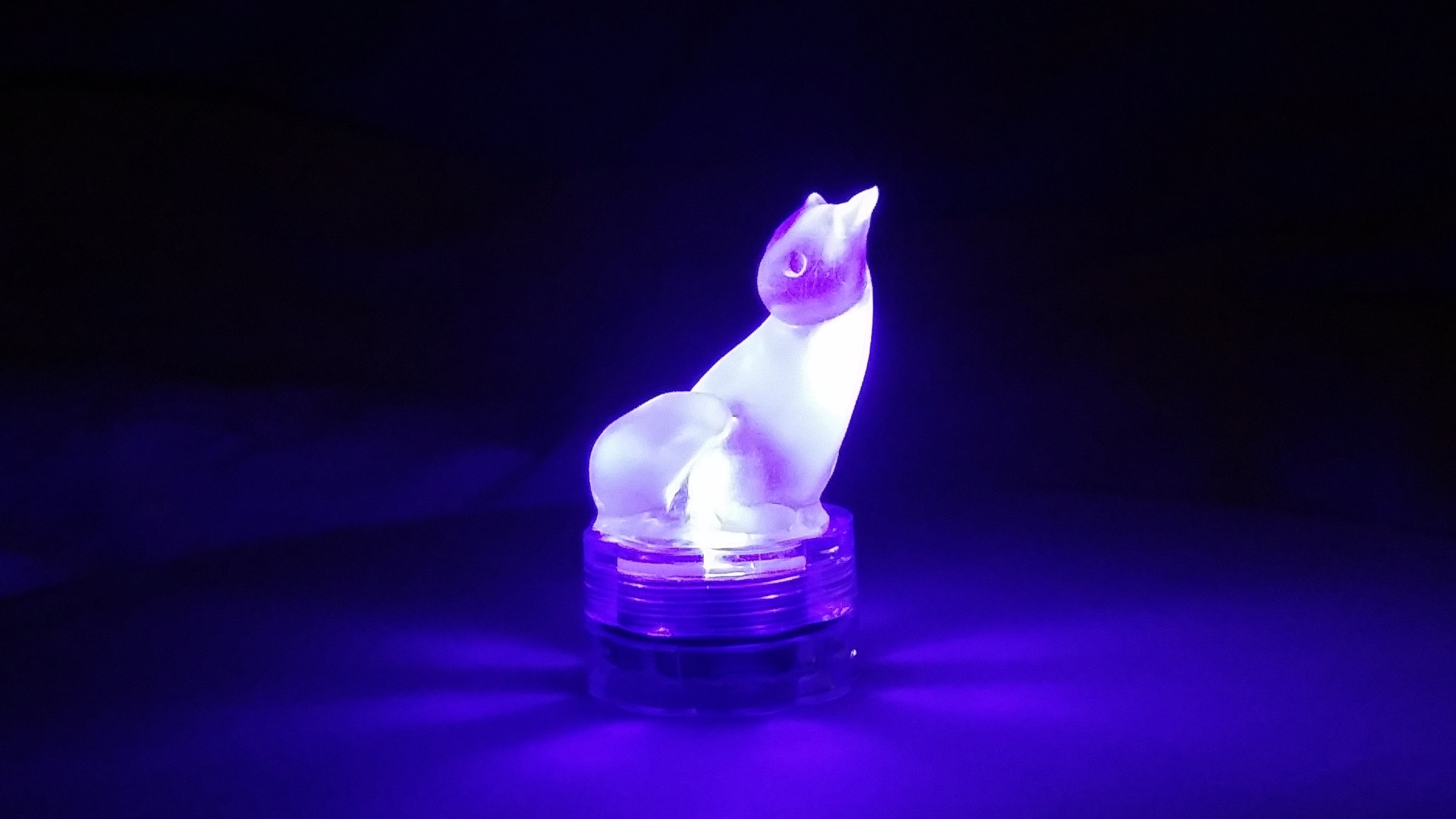 Light-up Cat Purple Night Light | Etsy