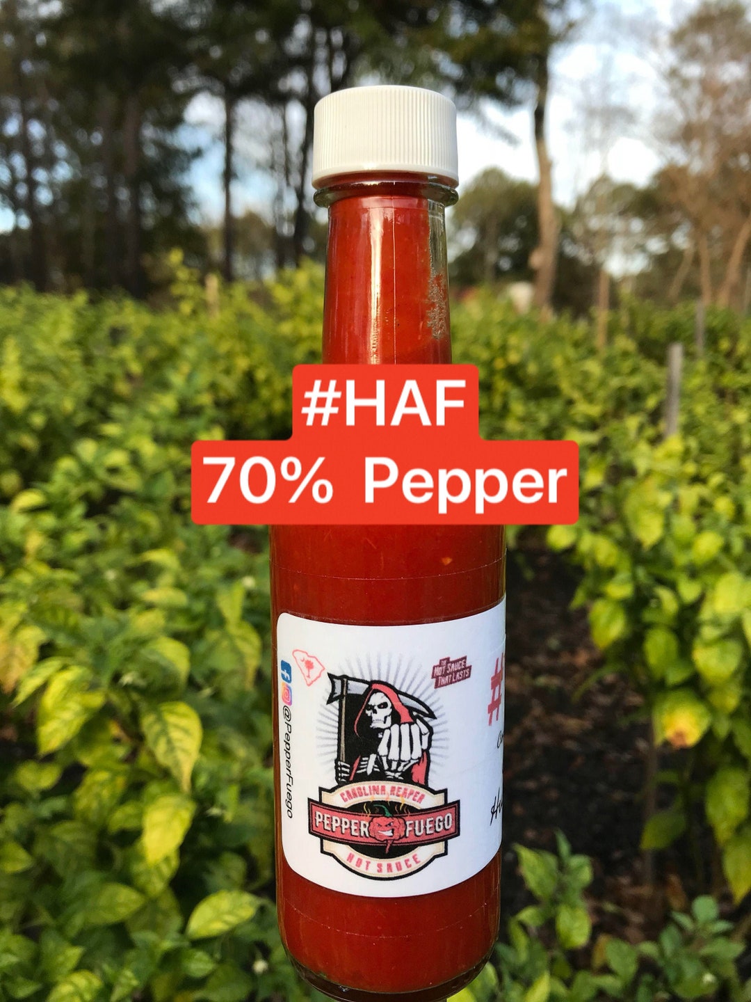 Carolina Reaper Hot Sauce 70% Pure Carolina Reaper Pepper HAF - Etsy