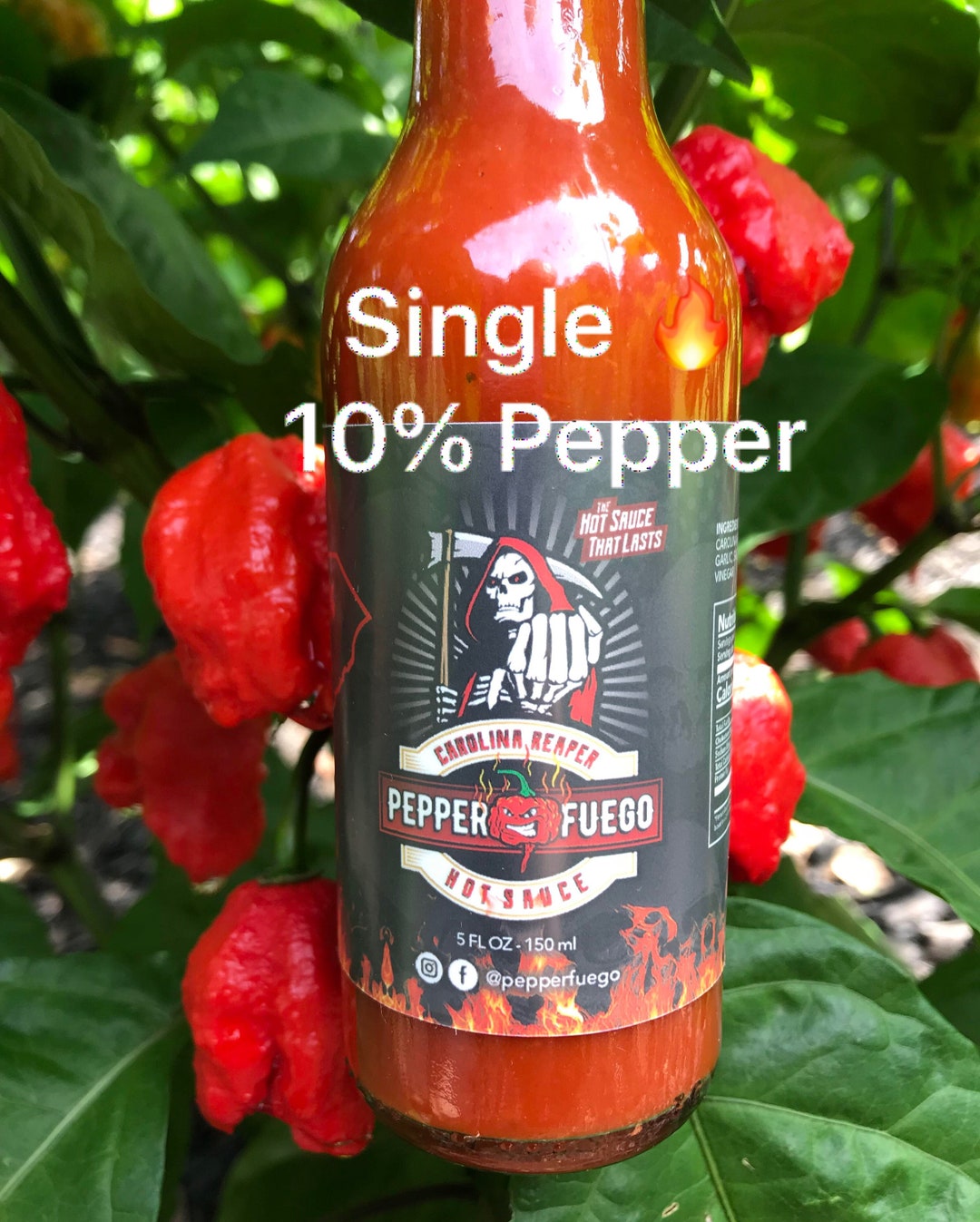 Carolina Reaper Hot Sauce - 10% Pure Carolina Reaper Pepper - Etsy