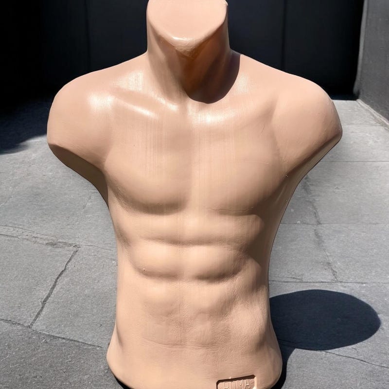 Male Torso Mannequin With Stand - Etsy