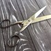 SOLINGEN Scissors Vintage High Quality Hand Tool,made in Germany,1960s ...