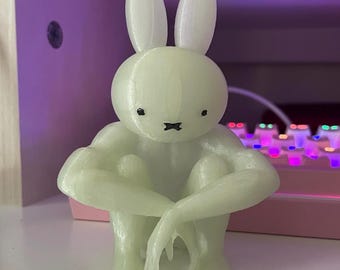 Cute Sitting Miffy PINK or GLOW in the DARK Figurine 3D Printed Funny ...