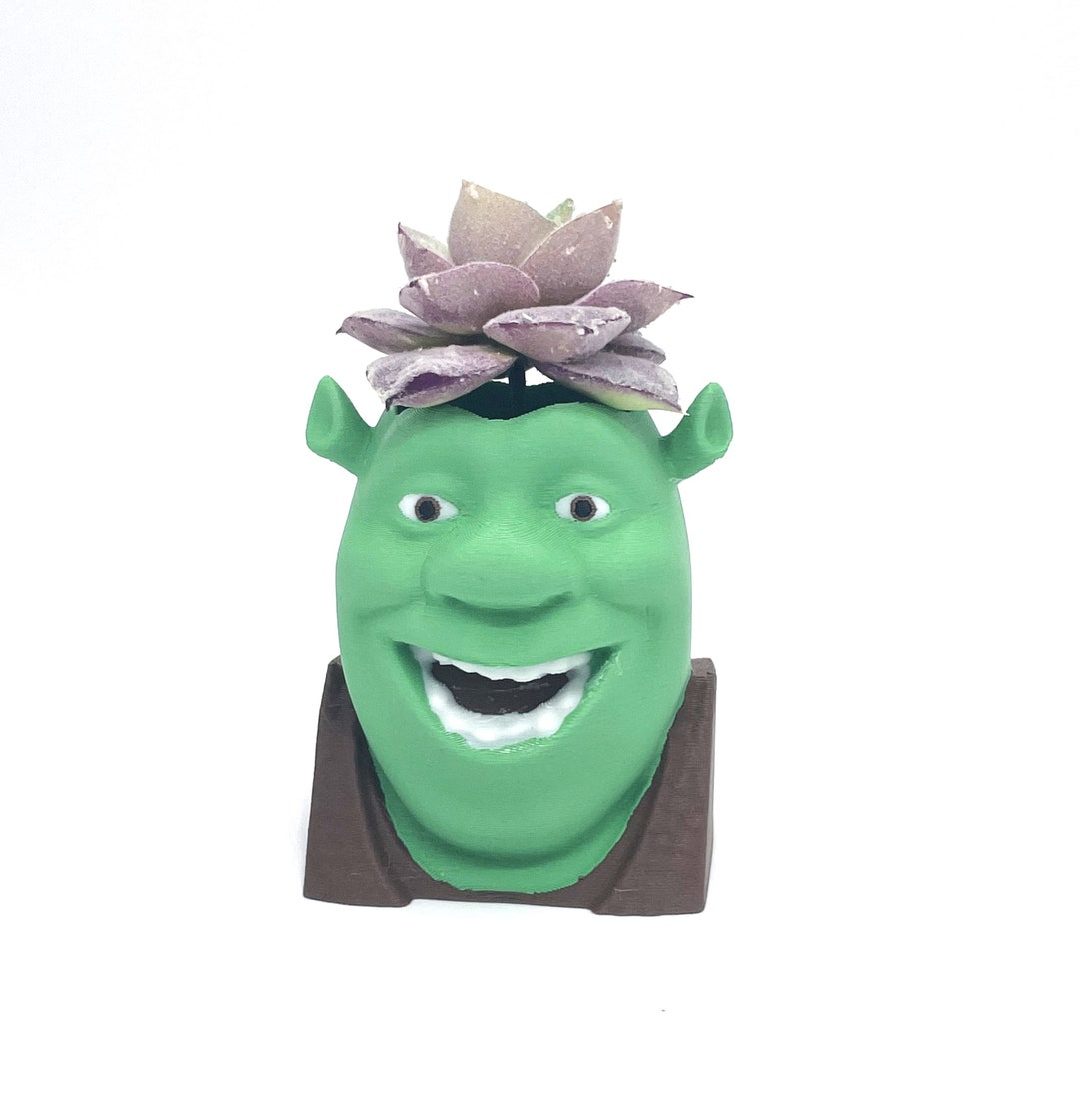 Shrek Unique Planter Pot for Succulents and Flowers 3D - Etsy