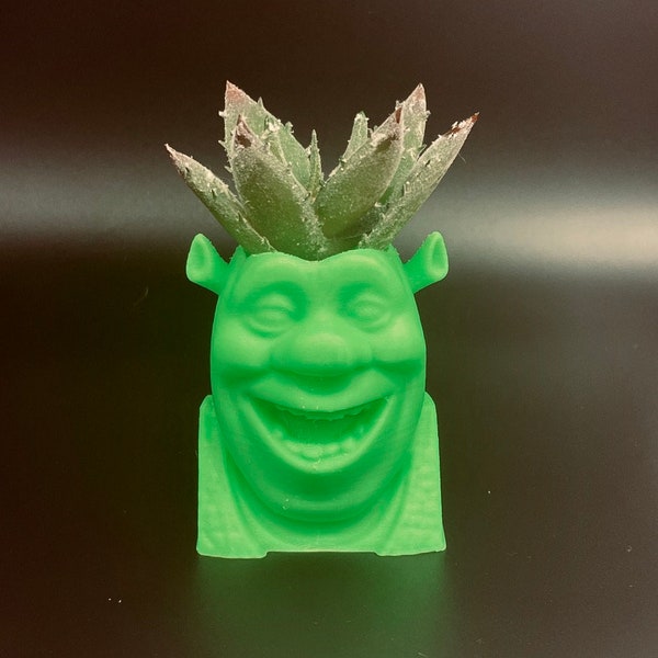 Unique Planter - Etsy