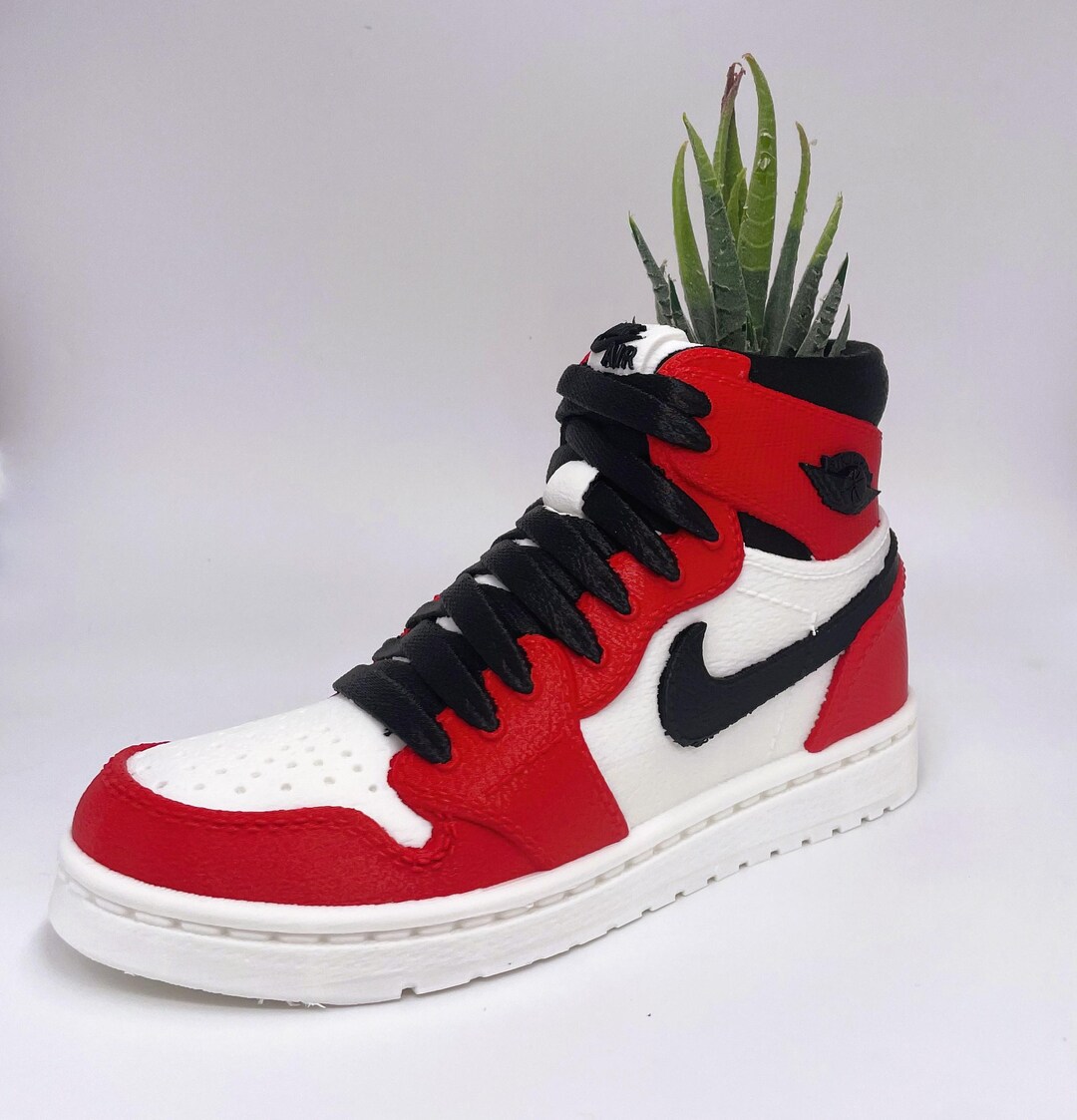 Colored Nike Shoe Jordan One Planter Pot for Succulents and Flowers 3D ...