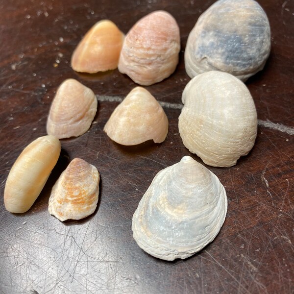 Bulk Slippers - Etsy