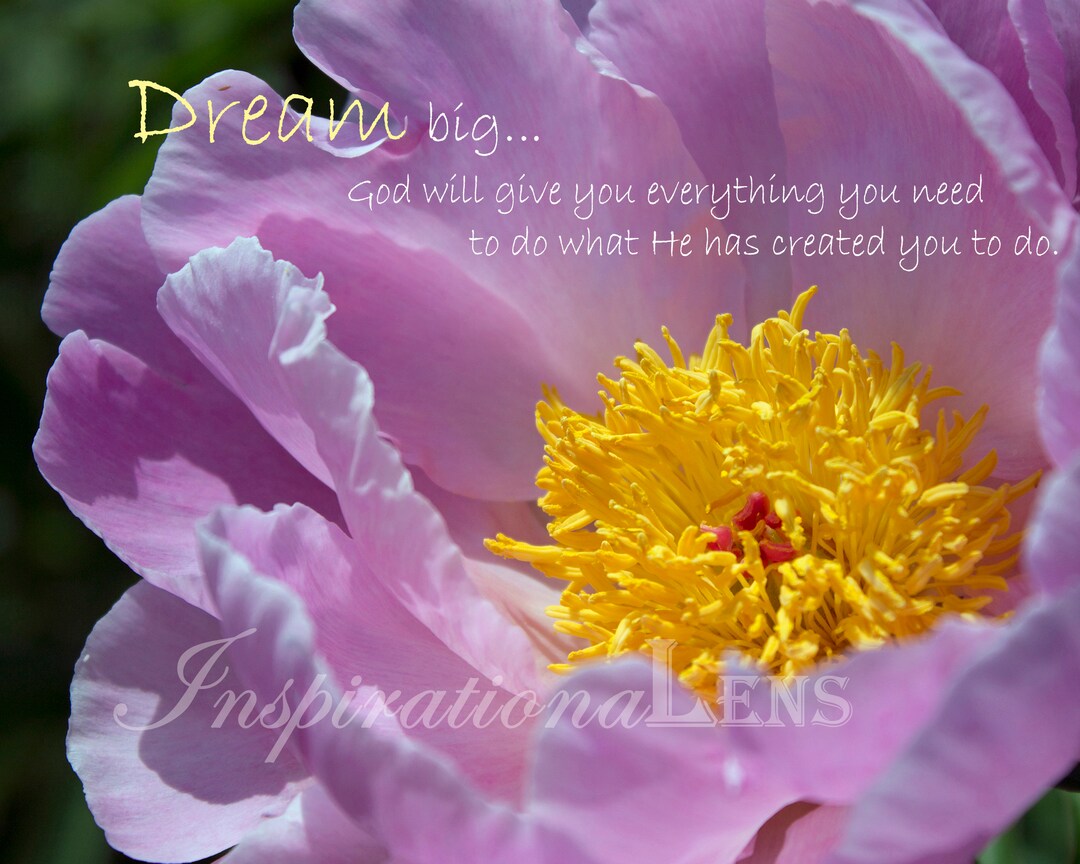 Peony Wall Art, Pink Peony Photo, Dream Big Quote, Unique Flower Wall ...