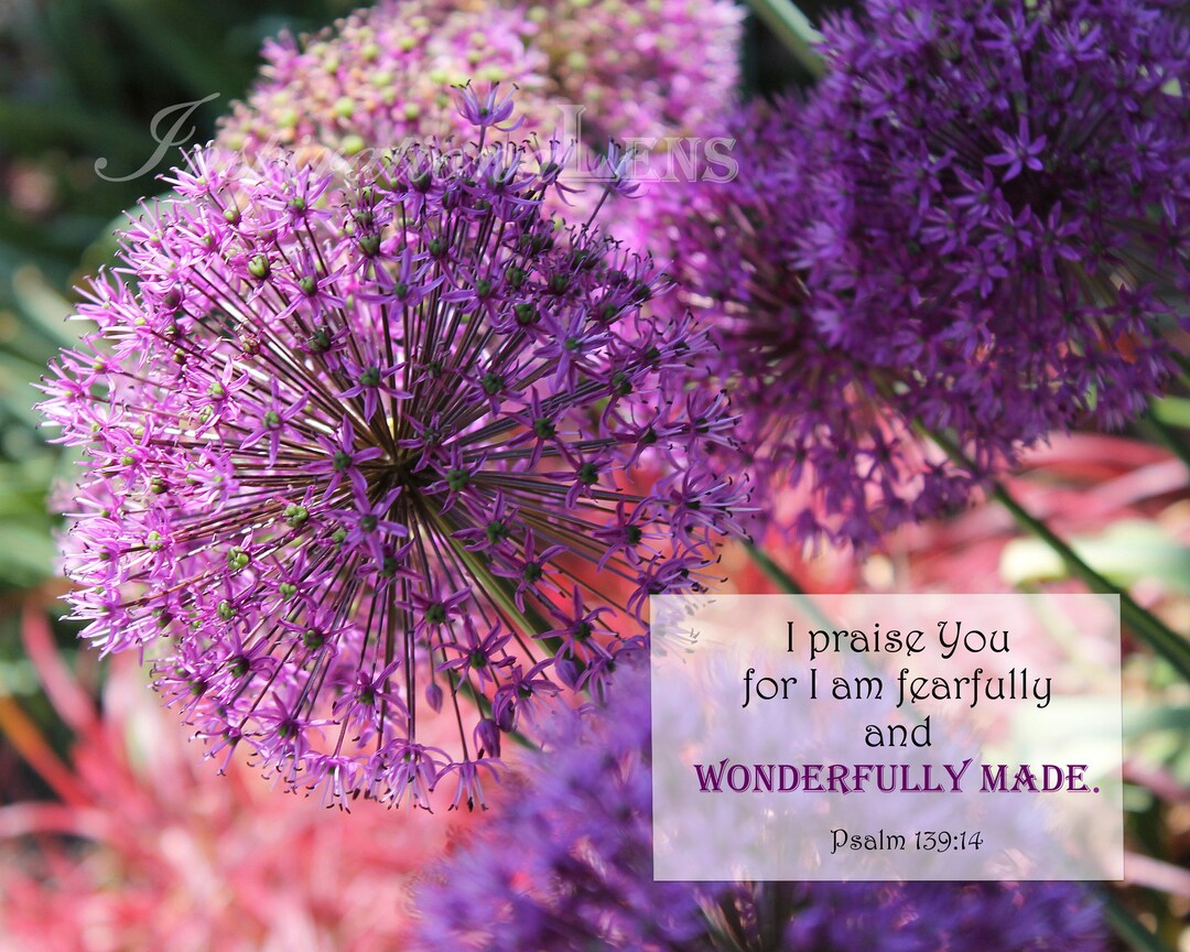 Scripture Wall Art Flower, Purple Starburst Flower, Psalm 139 14 ...
