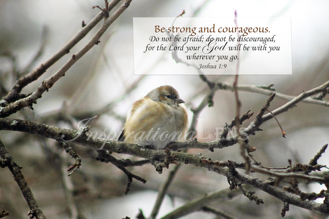 Scripture Photo - Finch in Winter - Joshua 1:9 - Scripture Print ...