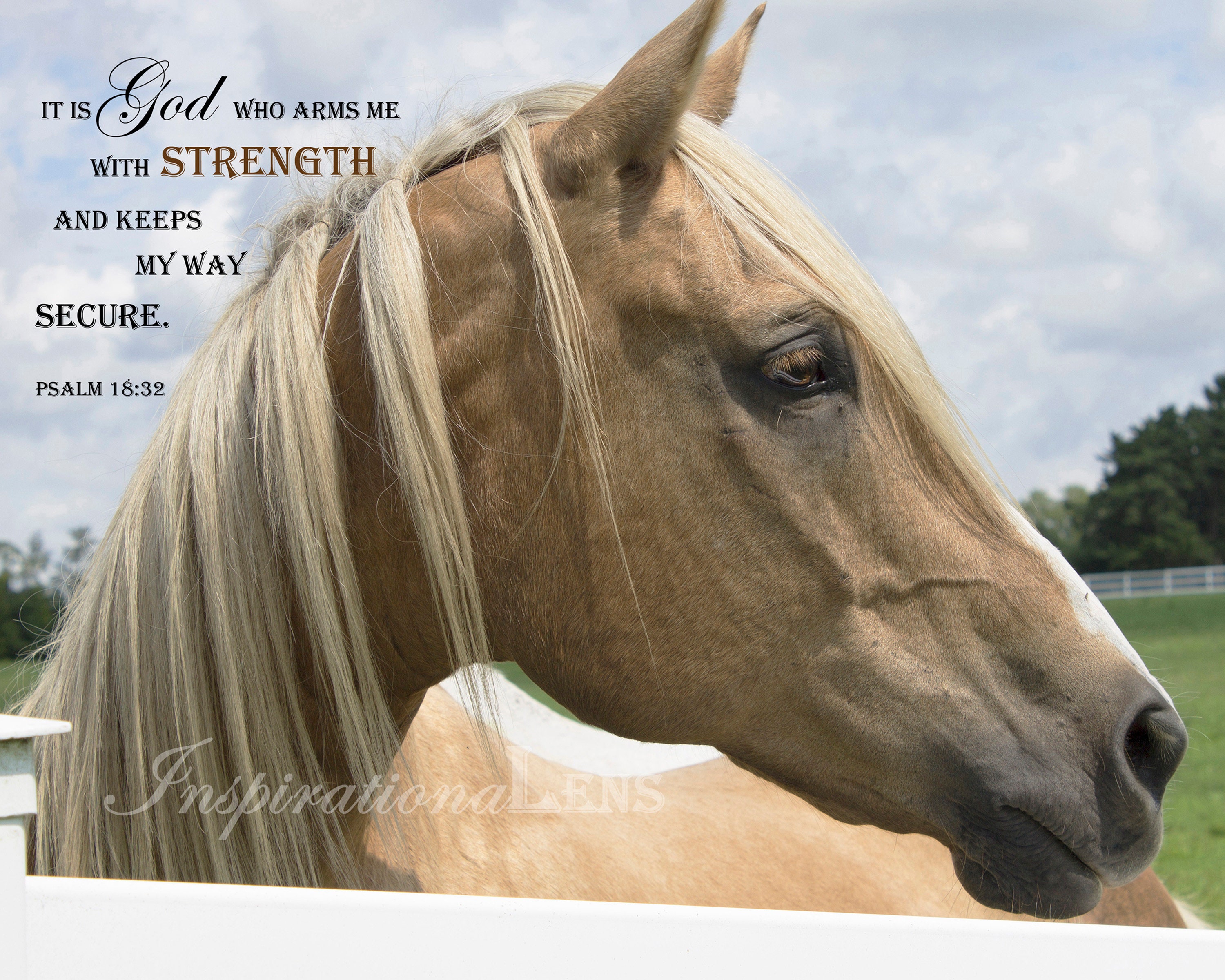 Horse Pictures With Scripture