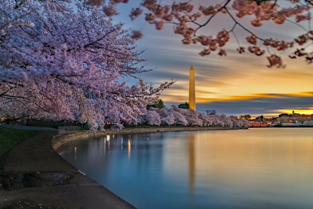 Washington Monument - Tidal Basing in Washington DC Spring 2021 - Etsy